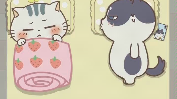 【小贱猫土豆君】女朋友生气了怎么办