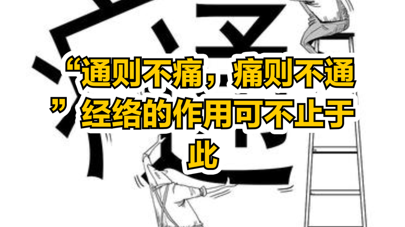 “通则不痛,痛则不通”经络的作用可不止于此