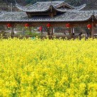 福建龙岩快讯张老师 