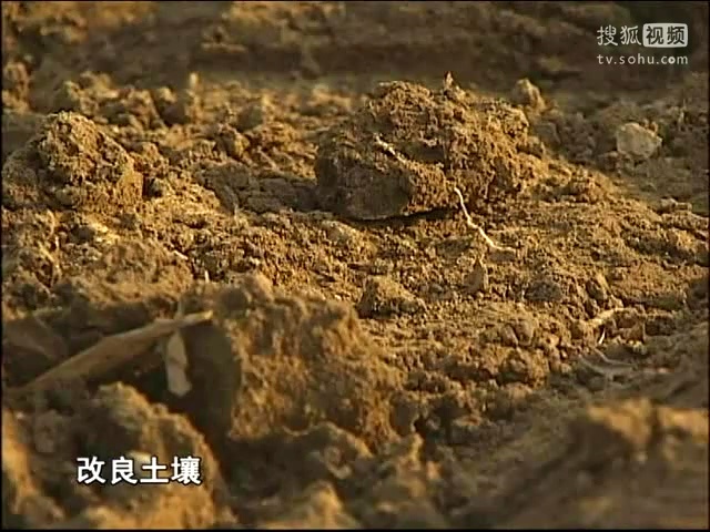 解密稀土功能肥料