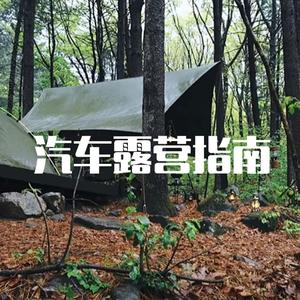 正能量疯狂小杨哥 