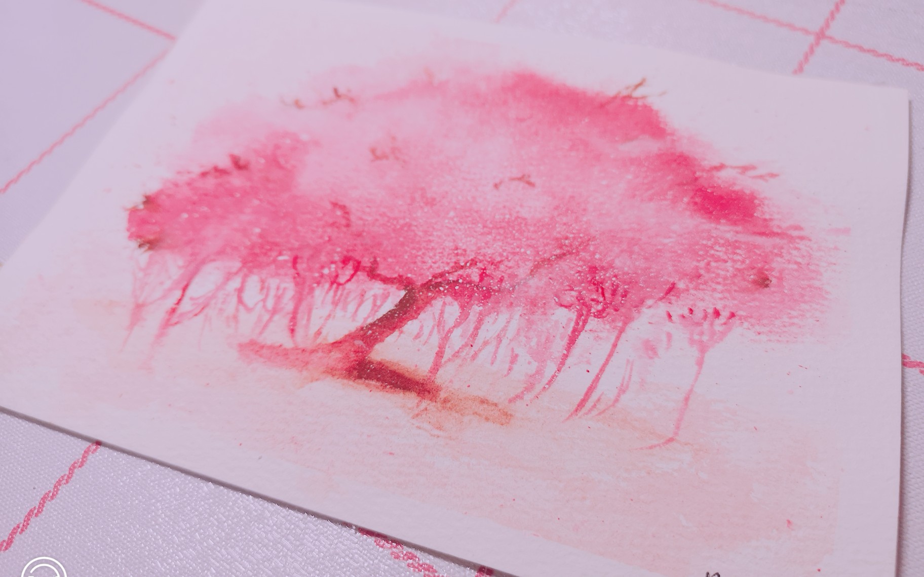 【水彩】当在宿舍里工具不全时,如何将就地画樱花树