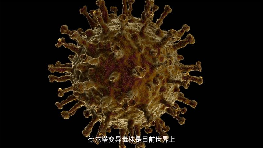 德尔塔病毒和其它新冠病毒毒株的区别?