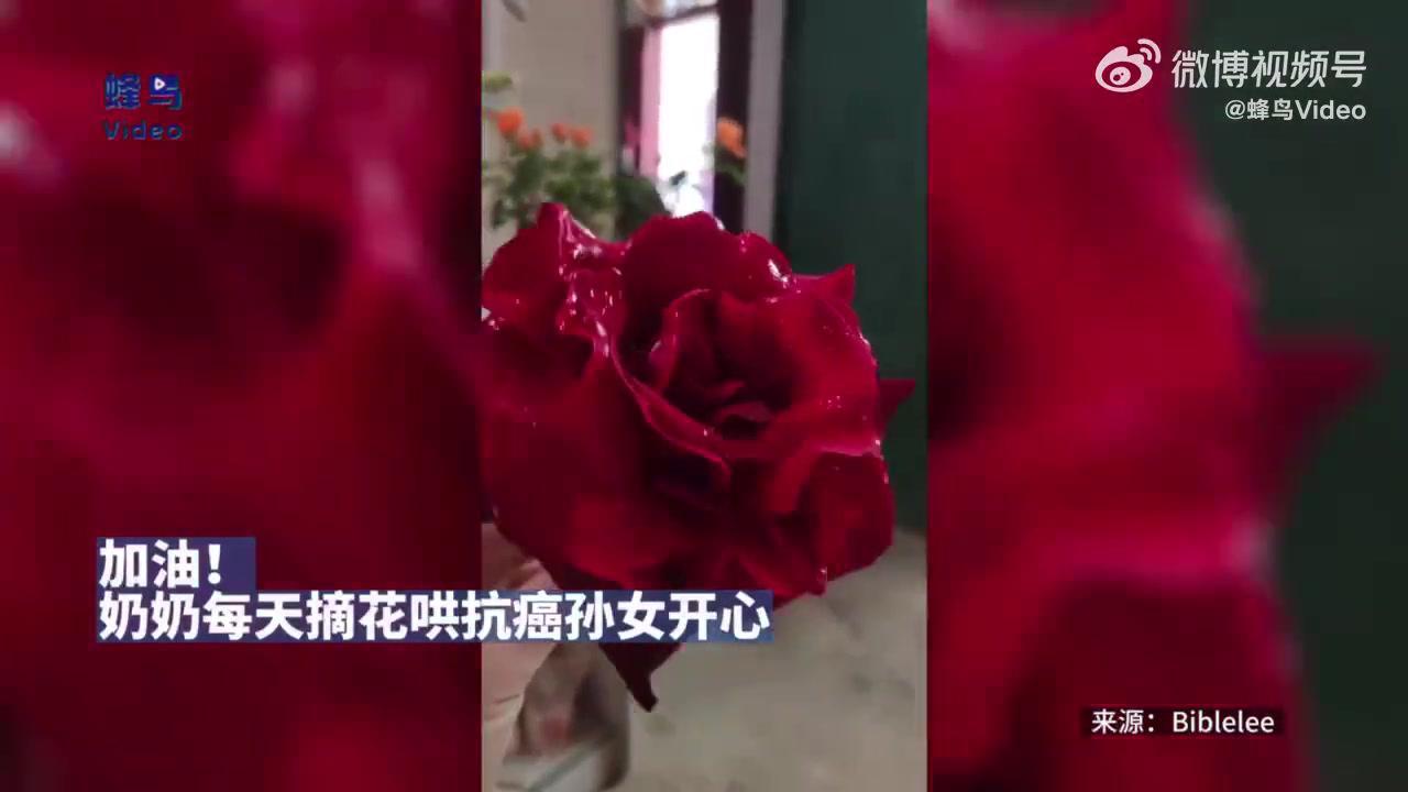【加油!#奶奶每天摘花哄抗癌孙女开心#】4月23日,湖北。一女子抗癌...
