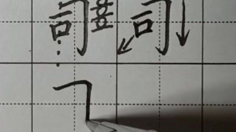 司的规范书写
