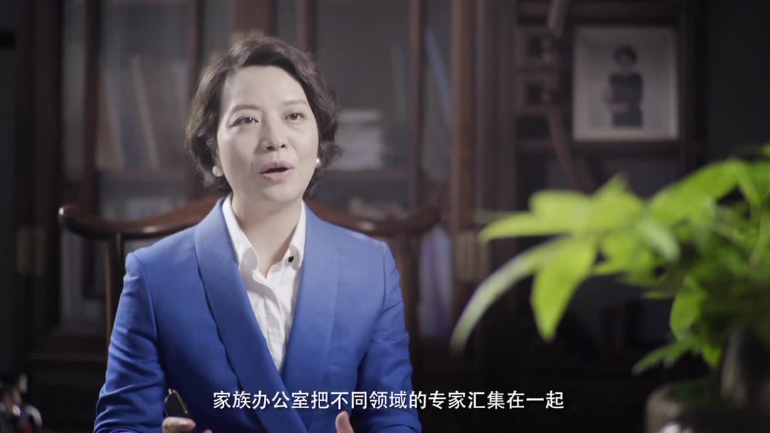 深圳市家族办公室促进会宣传片