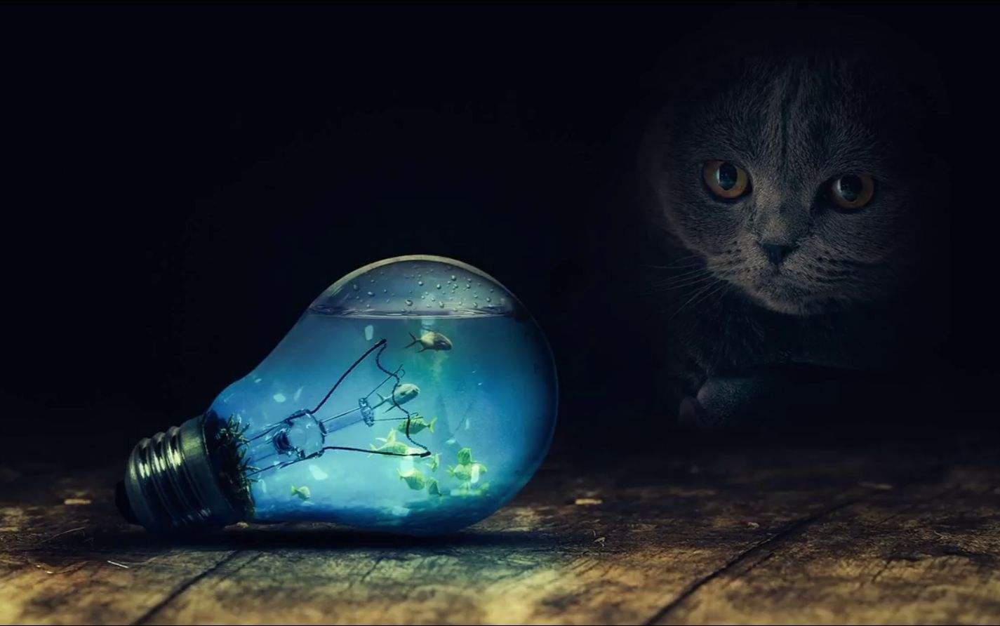 PS高级抠图的实例应用