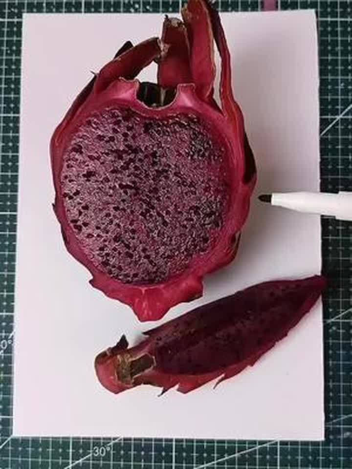...火龙果的不同画法效果截然不同 简笔画教程...