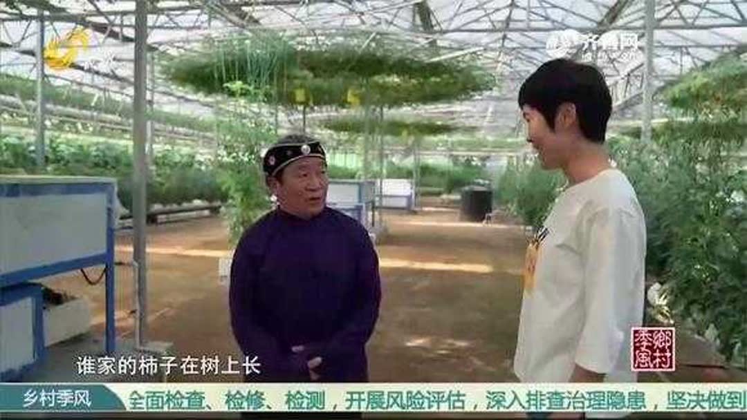 寿光打造立体无土栽培模式,造型奇特,西红柿都长成树了|乡村季风