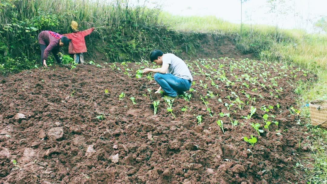 四川安岳农村小伙儿种不来油菜 扎稻草人手艺却是数一数二的好