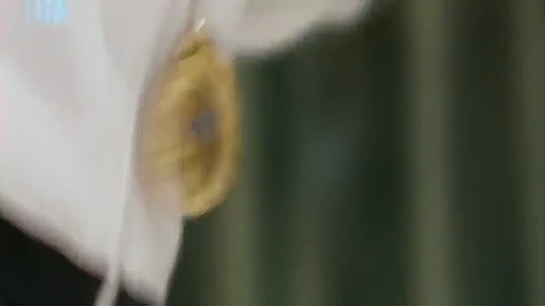 宝葫芦的秘密:王葆带着金牌去见宝葫芦,但是宝葫芦准备离开了