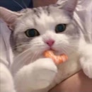 小林想睡觉ߐ�121 