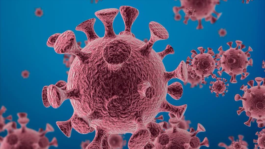 面对新型冠状病毒,应该如何做好预防?提醒:日常要做好以下4点