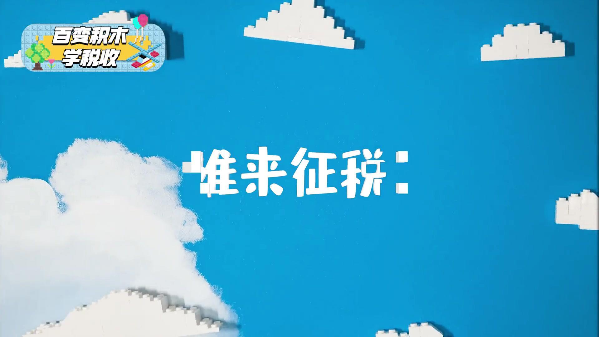 百变积木学税收(第四集):谁来征税?#定格动画