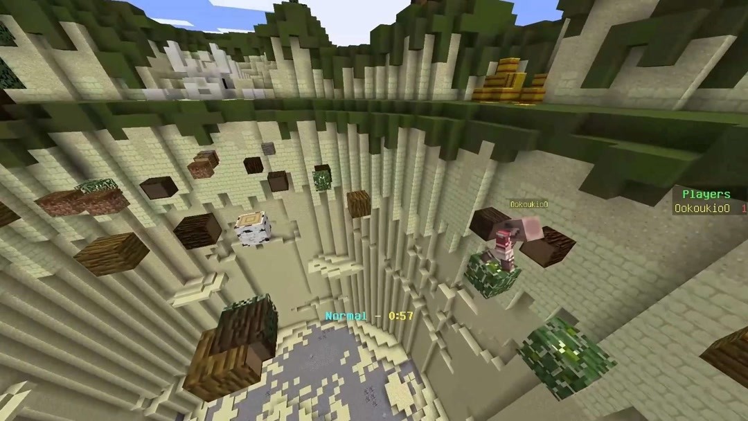 我的世界 没有见过的奇怪地形,来这里干嘛呢