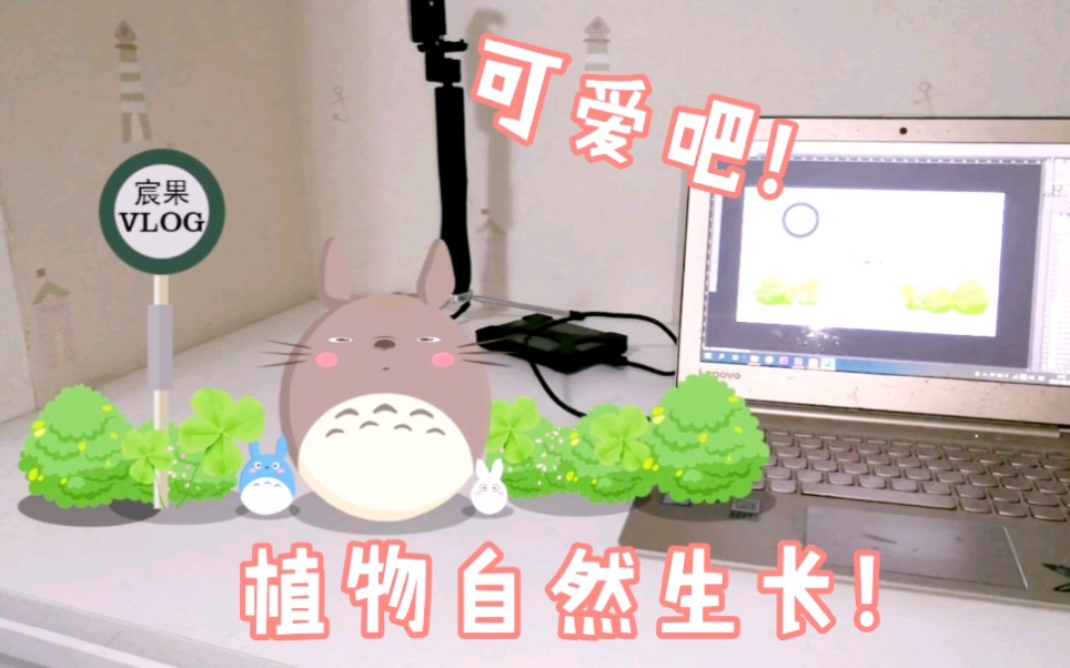 第一次用AE做的MG动画,短短4秒,花了我俩小时!