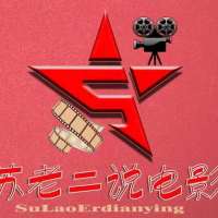 苏老二说电影 