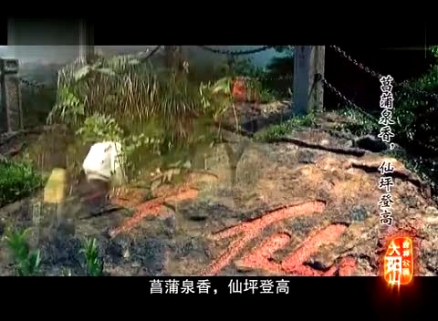 大阳山国家森林公园宣传片