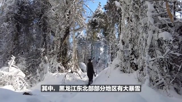 大到暴雪!黑龙江、吉林、辽宁等地将迎来强降雪