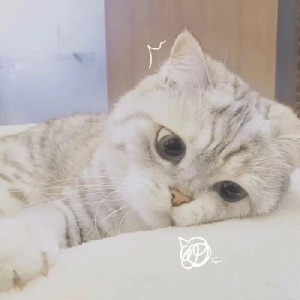 小瓶盖今年16啊 