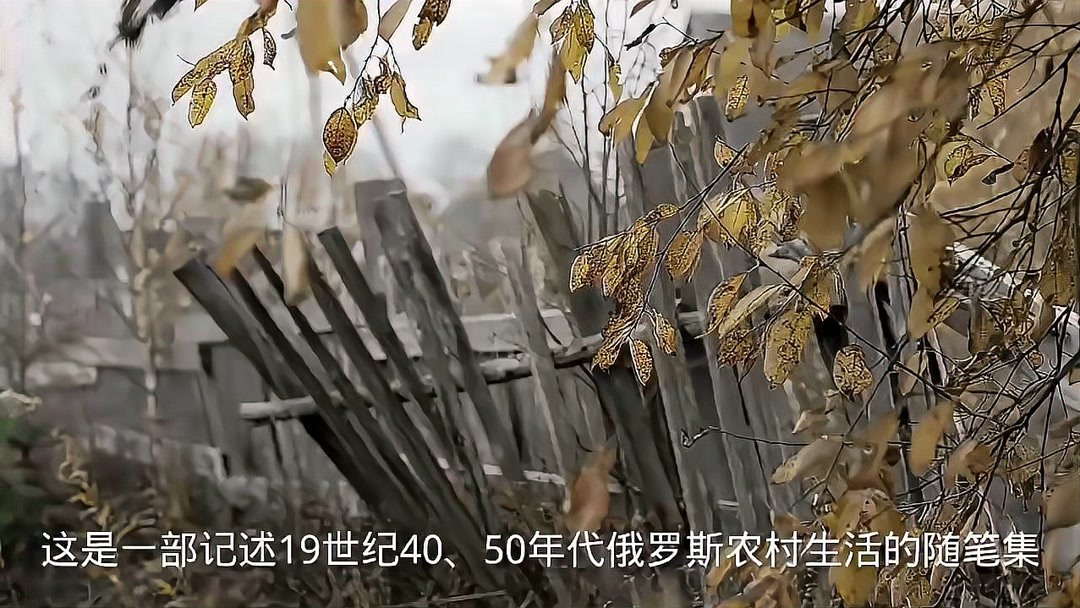 《猎人笔记》俄罗斯上个世纪农村的故事!