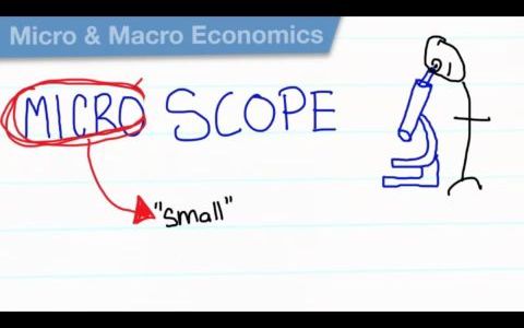 [微观经济学]3.微观经济学与宏观经济学
