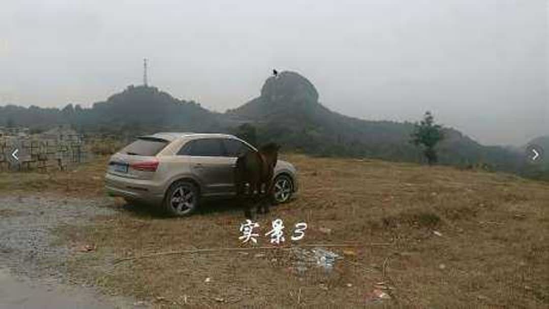 实景峦头讲解(三) 李双林