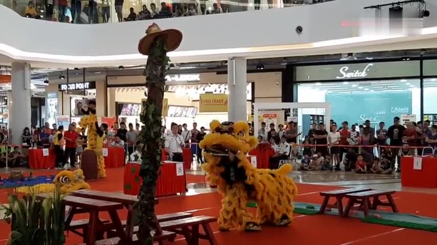传统舞狮比赛视频欣赏,精彩舞狮表现,舞狮艺术