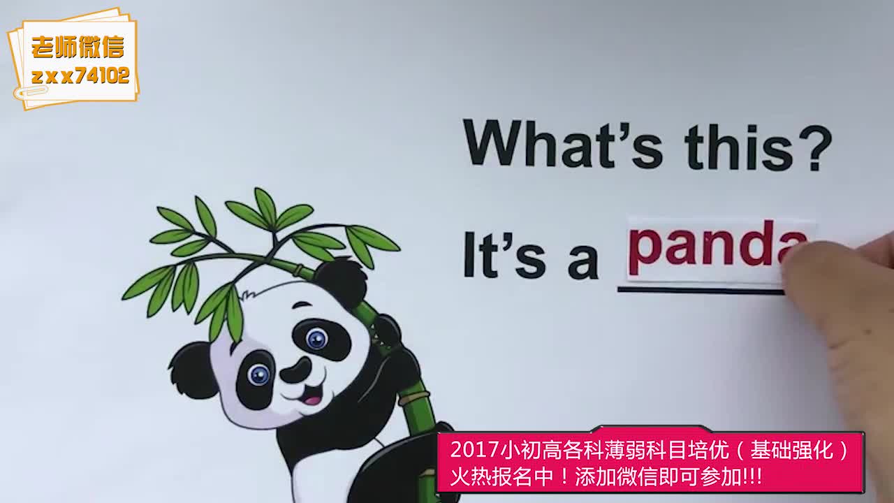 搜狐-小学英语微课视频Animals_高清