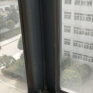 曾小艺术家 
