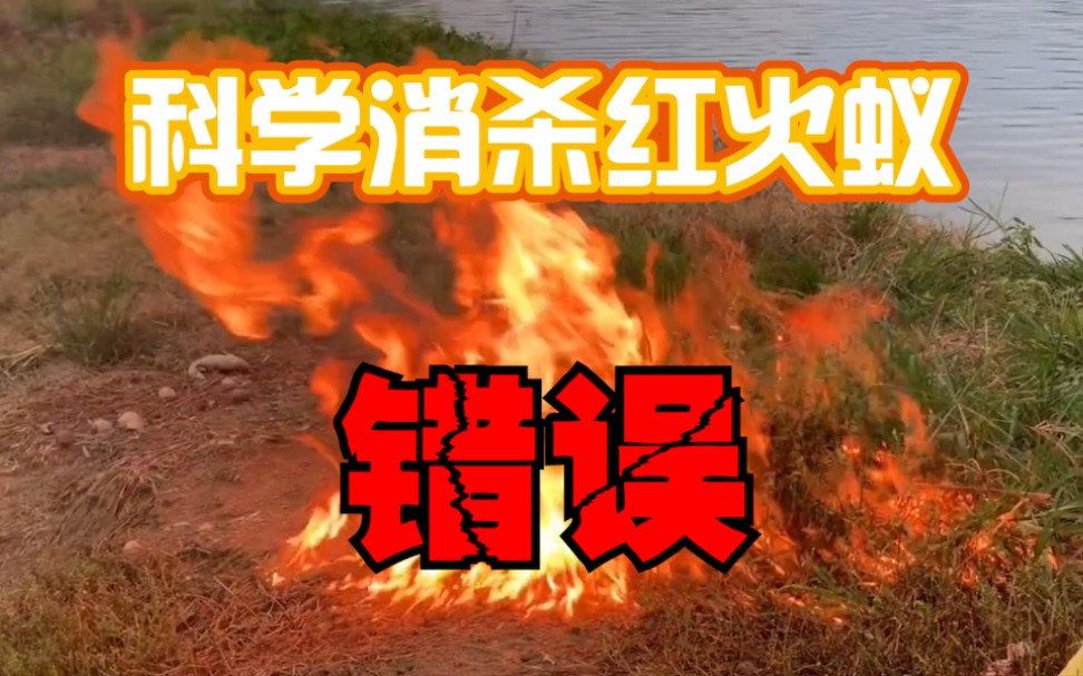 是时候展现真正的技术了 消杀红火蚁这样做才行!