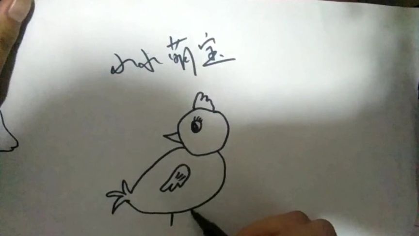 简笔画、教宝宝画小鸡,非常简单