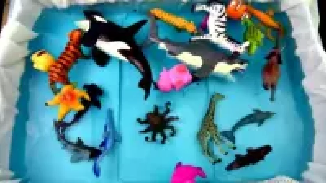 儿童益智动物模型玩具认识野生动物