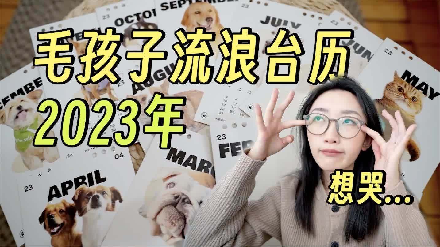 2023日历,这次只推荐这一本了.