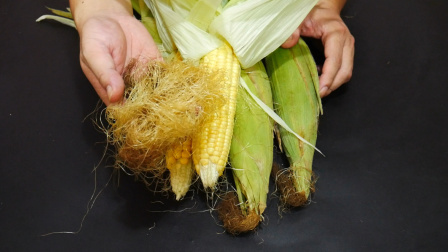 家里再有钱,玉米须记得一定要留下,这些用途太实用了,快试试