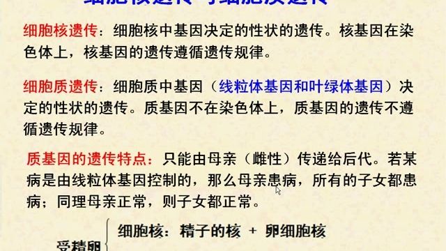 高中生物一轮复习——伴性遗传