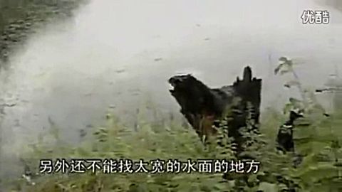 路亚软饵钓组_路亚饵亮片的绑法_路亚假饵怎么用