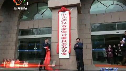 武汉市委审计委员会办公室正式挂牌成立