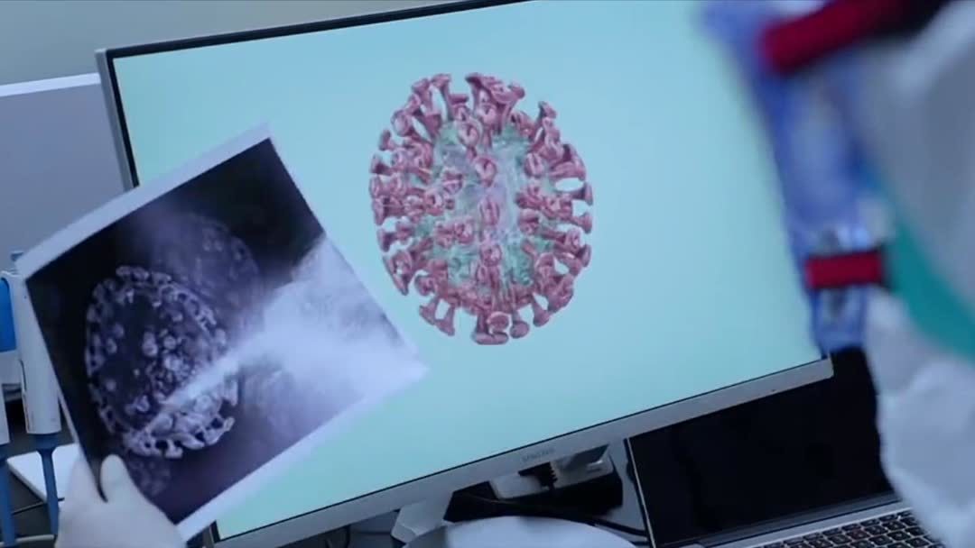 急诊科医生:江晓琪发现疑似新冠状病毒疫情,经检测后果真是病毒