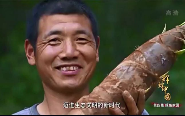 ...视频】冀教版小学数学五年级上册《种植问题》优质课教学视频,宁夏