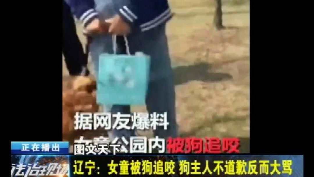 女孩被狗咬,狗主人不道歉反骂道:咬了她活该!