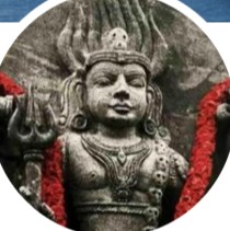 妙妙宽的妙妙屋 