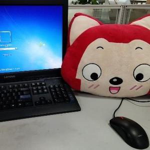 农村码农谭小胖 