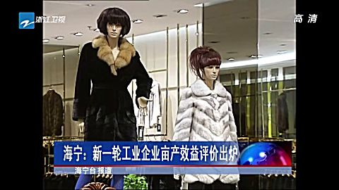 海宁:新一轮工业企业亩产效益评价出炉 浙江新闻联播 150611