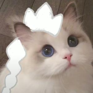 莫浪在线秒倒互 