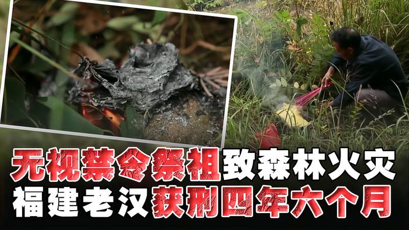 无视禁令上山祭祖致森林火灾,福建老汉获刑四年六个月
