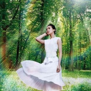 CorelDRAW学习教程 