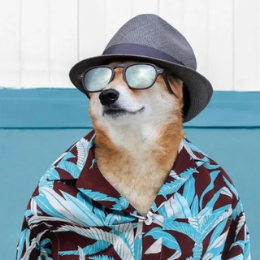 TradingView沙悟净 