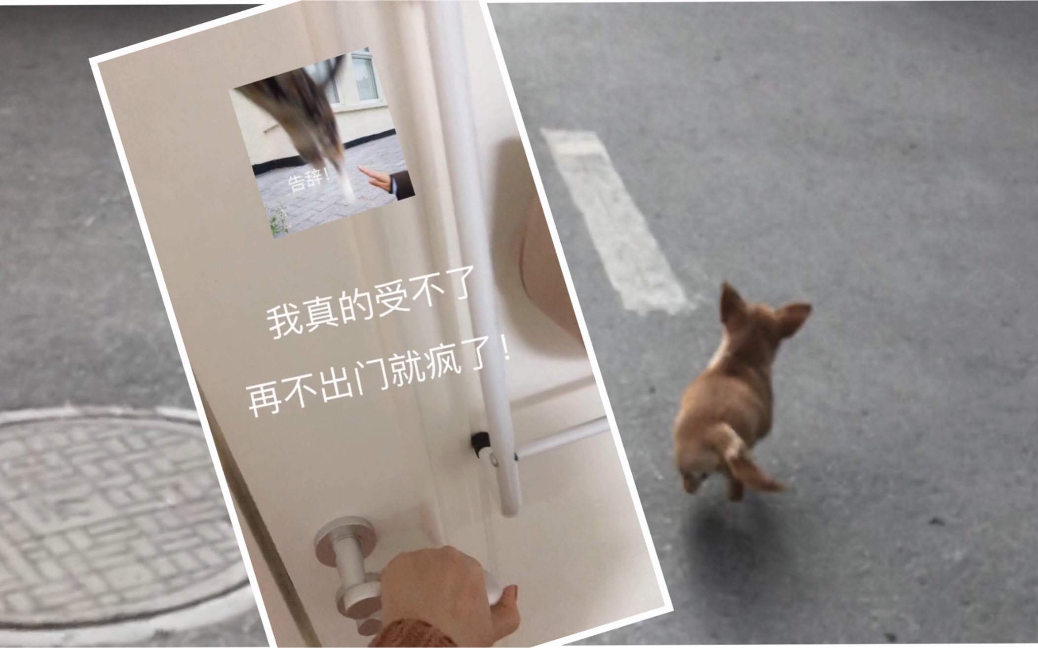 2020大年初三vlog|我再不出门就要长蘑菇了|这样出门,很安全(´-ω-`)