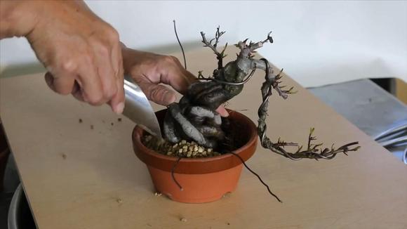 网上注册公司完整教程,含流程、填写注意事项,注册不花一分钱